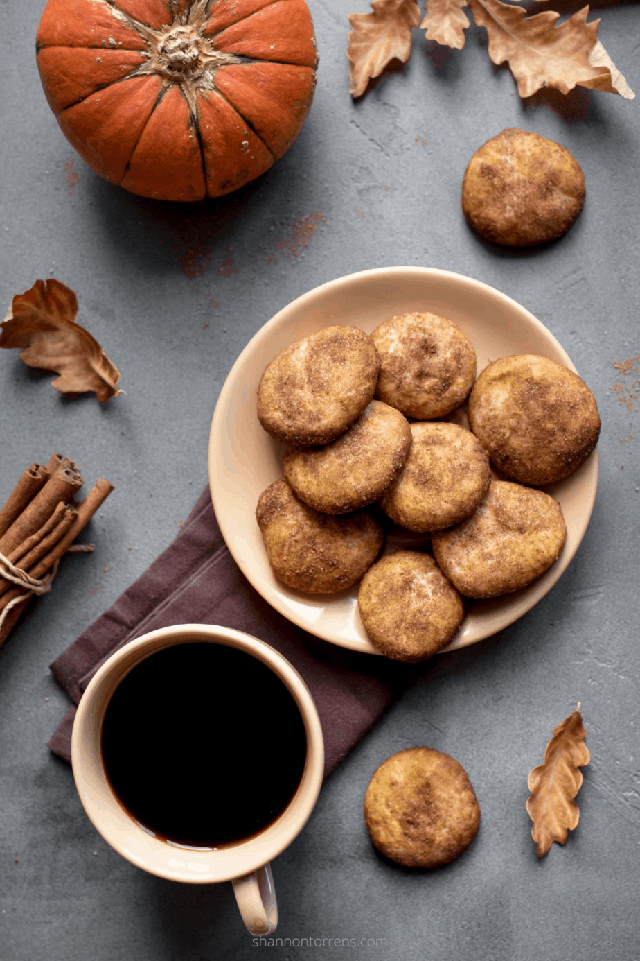Fall Aesthetic Plus 10 Ways To Get In the Mood for Fall - Shannon Torrens