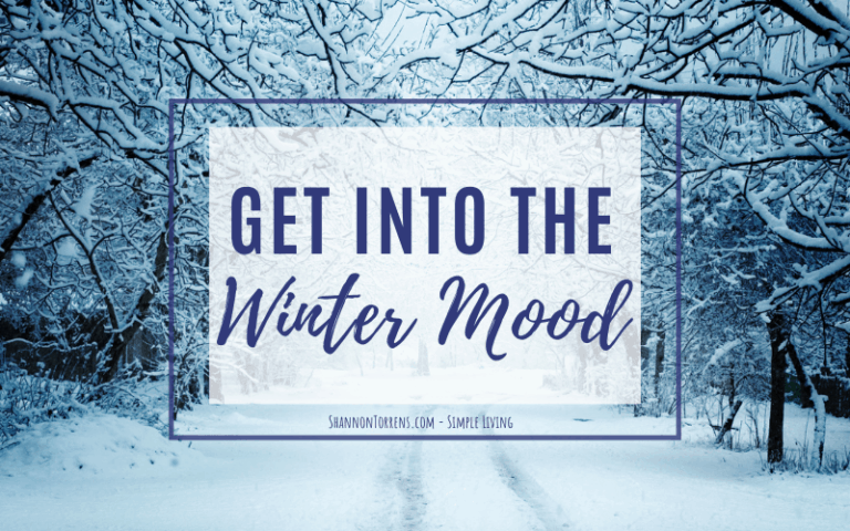Winter Aesthetic Plus 10 Ways to Get in the Mood For Winter - Shannon ...