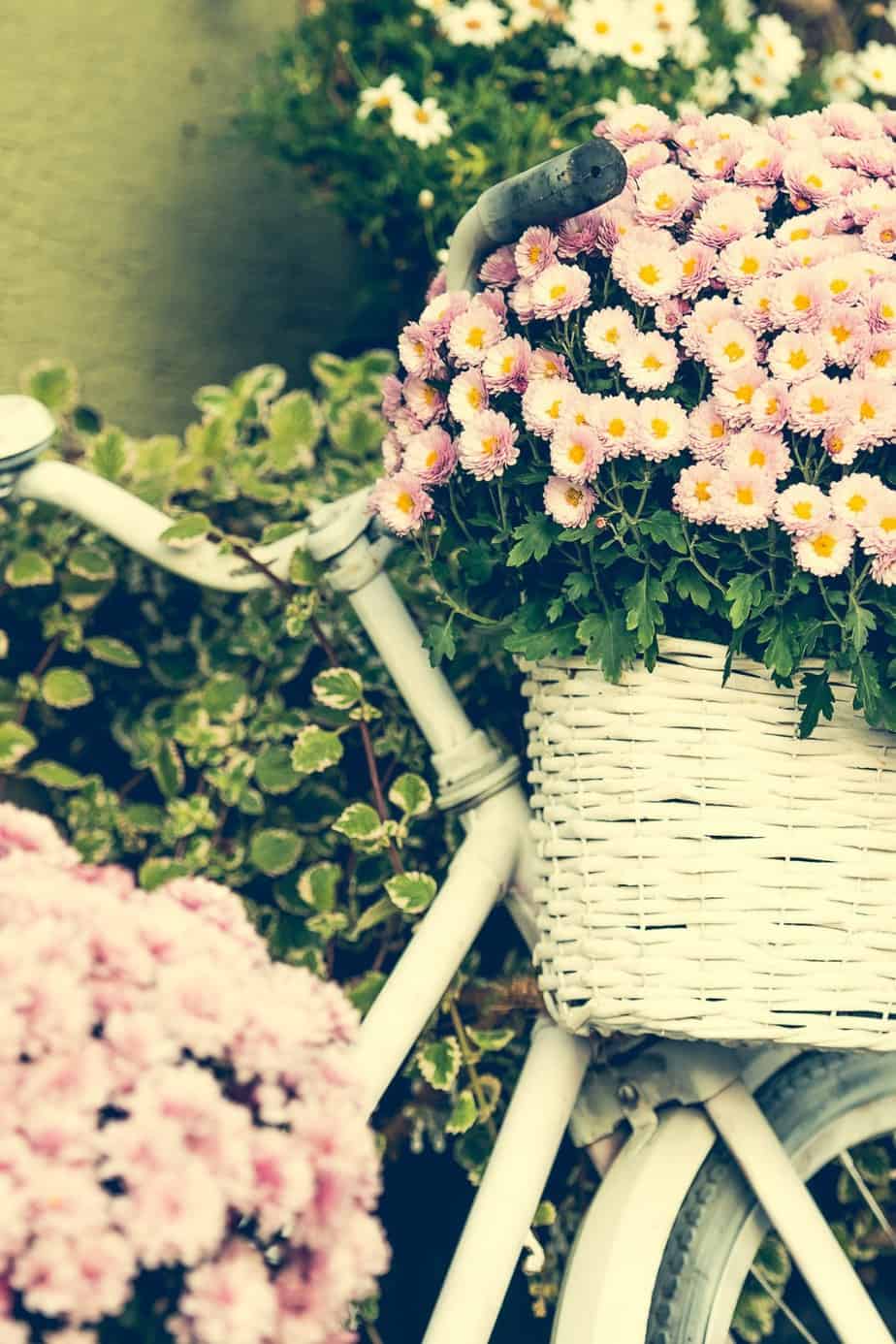 Spring Aesthetic Plus 12 Ways to get in the Mood For Spring - Shannon ...