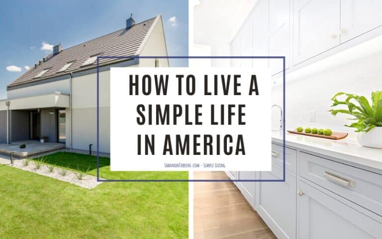 How to Live a Simple Life in America - Shannon Torrens