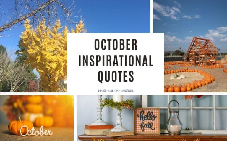 October Inspirational Quotes - Shannon Torrens