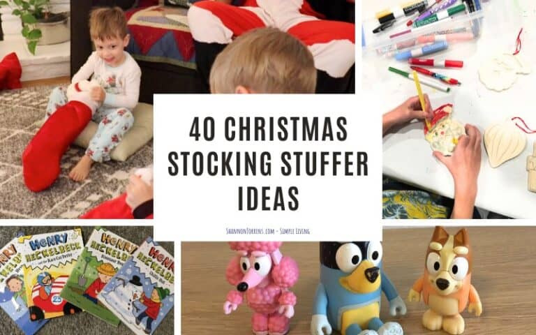 40 Christmas Stocking Stuffer Ideas for Everyone on Your List - Shannon ...