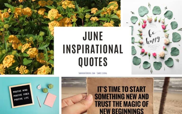 Inspirational Welcome June Quotes - Shannon Torrens