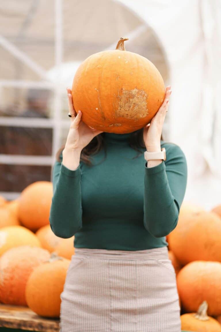 Fall Pumpkin Patch Aesthetic - Shannon Torrens