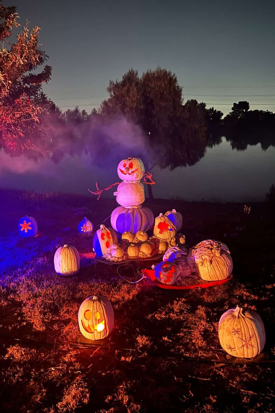 Fall Pumpkin Patch Aesthetic - Shannon Torrens