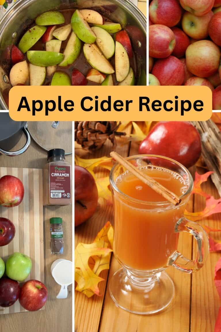 Traditional Homemade Apple Cider Recipe - Shannon Torrens
